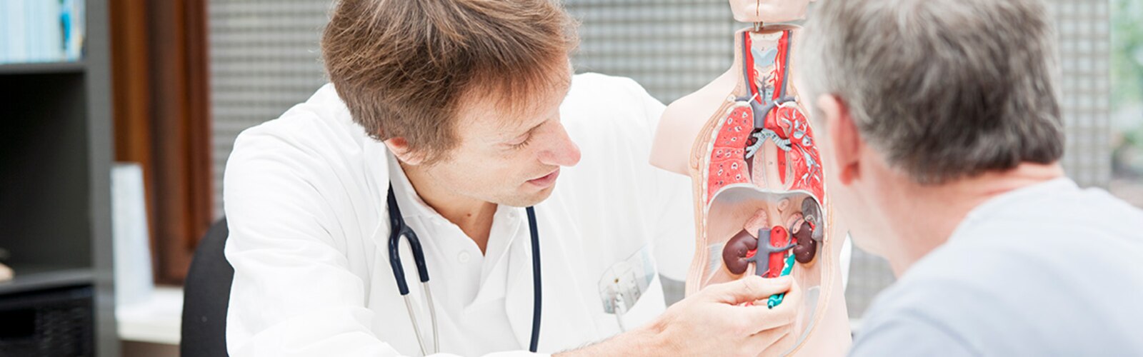 O que é um urologista, o que faz e como entender-se com ele