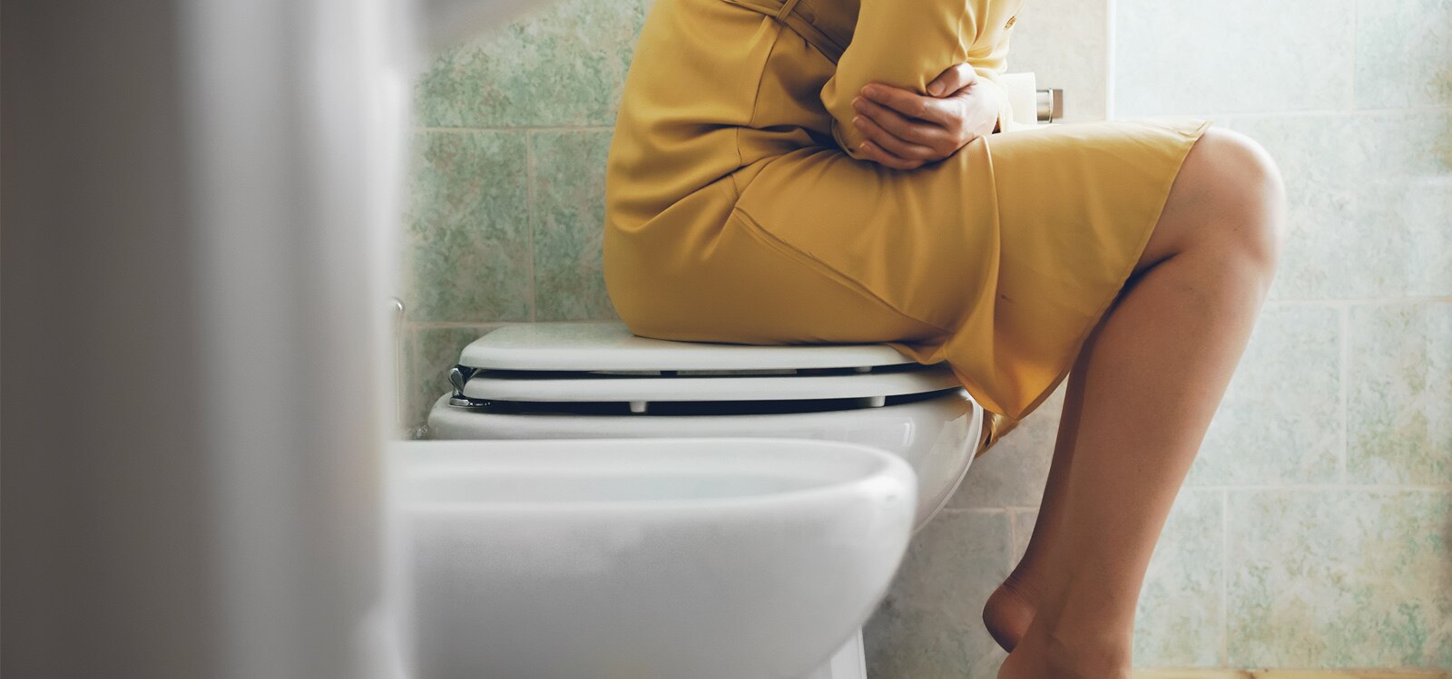 Prolapso pélvico e incontinência urinaria feminina